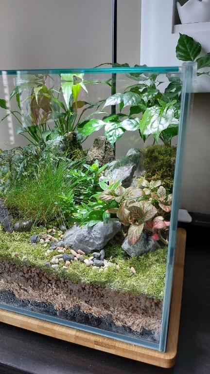 Dry Terrarium, Furniture & Home Living, Gardening, Plants & Seeds on ...