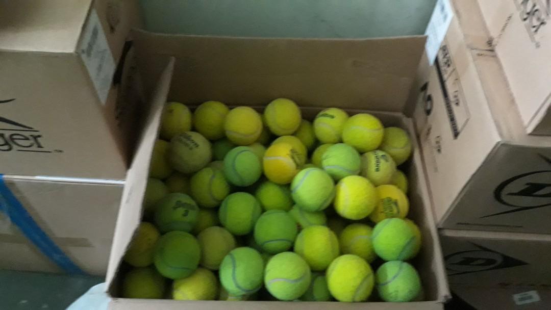 Lawn tennis training balls, Sports Equipment, Other Sports Equipment ...