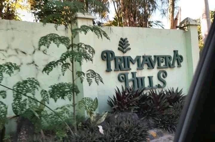 Primavera Hills Subd 123 sqm House in Yati Lilo-an Cebu City RUSH SALE ...