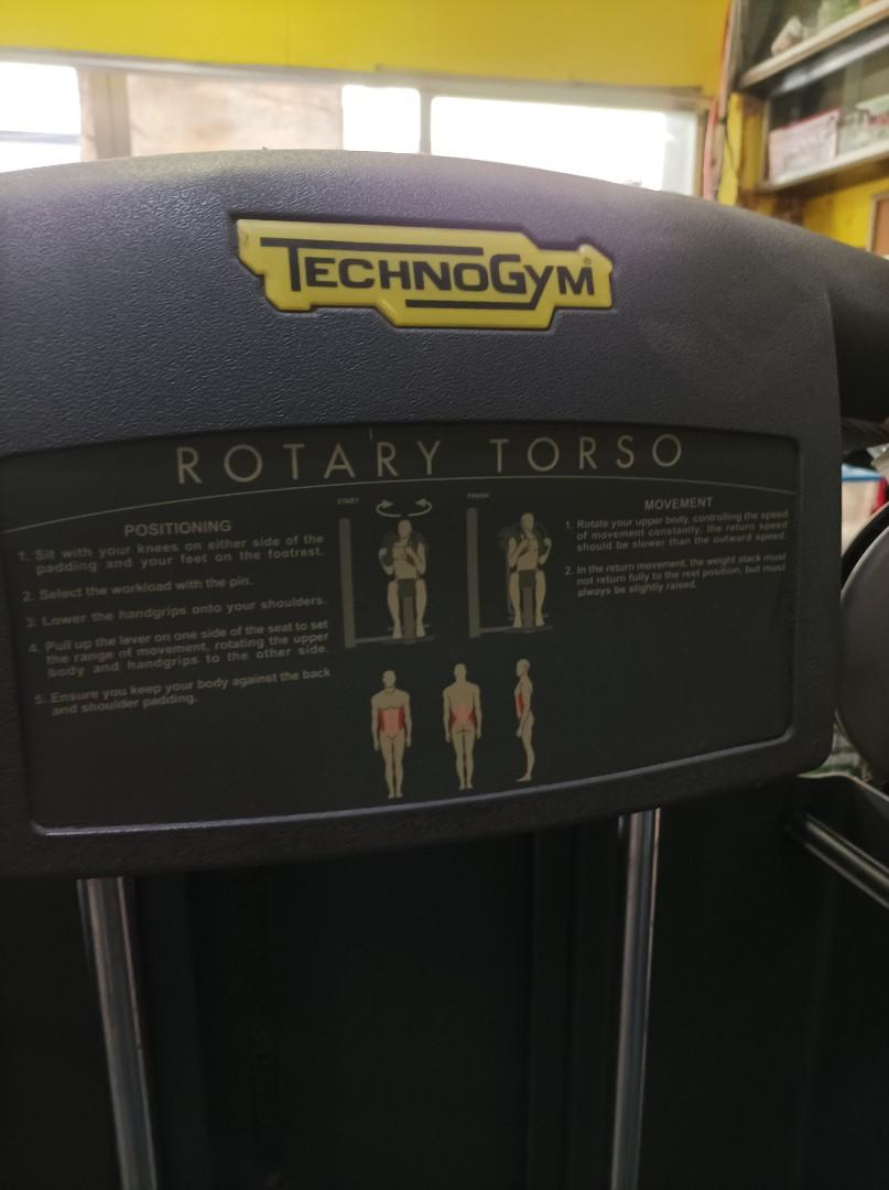 Technogym Rotary Torso, Sports Equipment, Exercise & Fitness, Cardio ...