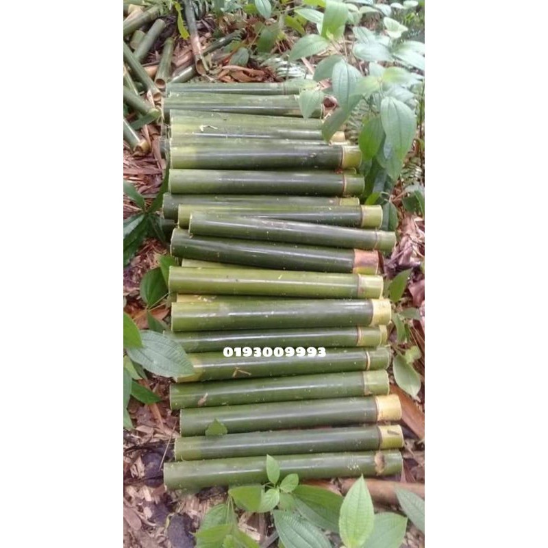 Buluh Lemang, Food & Drinks, Packaged & Instant Food on Carousell