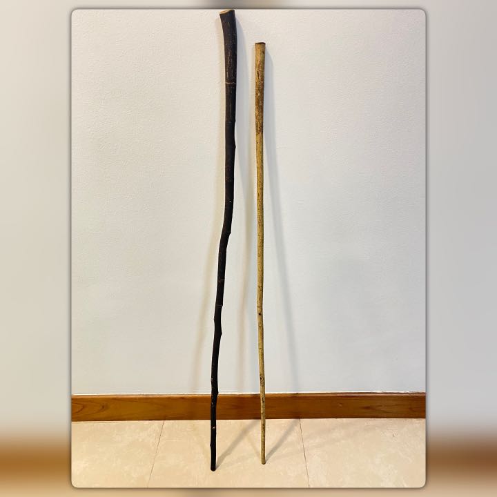 Kayu Tas / Kayu Hujan Panas (Jantan & Betina), Everything Else on Carousell