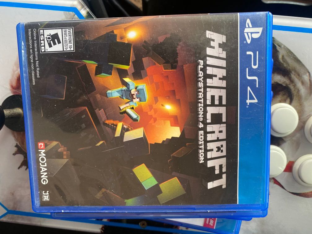 Minecraft ps4, Video Gaming, Video Games, PlayStation on Carousell
