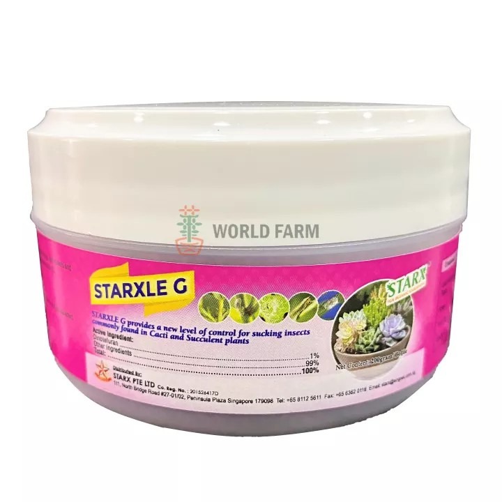 Starxle G Pesticide / Insecticide for Cacti and Succulent Plants ...