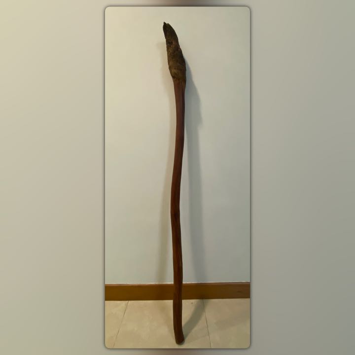 Tongkat Raja Kayu, Everything Else on Carousell