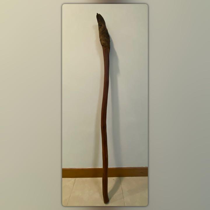 Tongkat Raja Kayu, Everything Else on Carousell