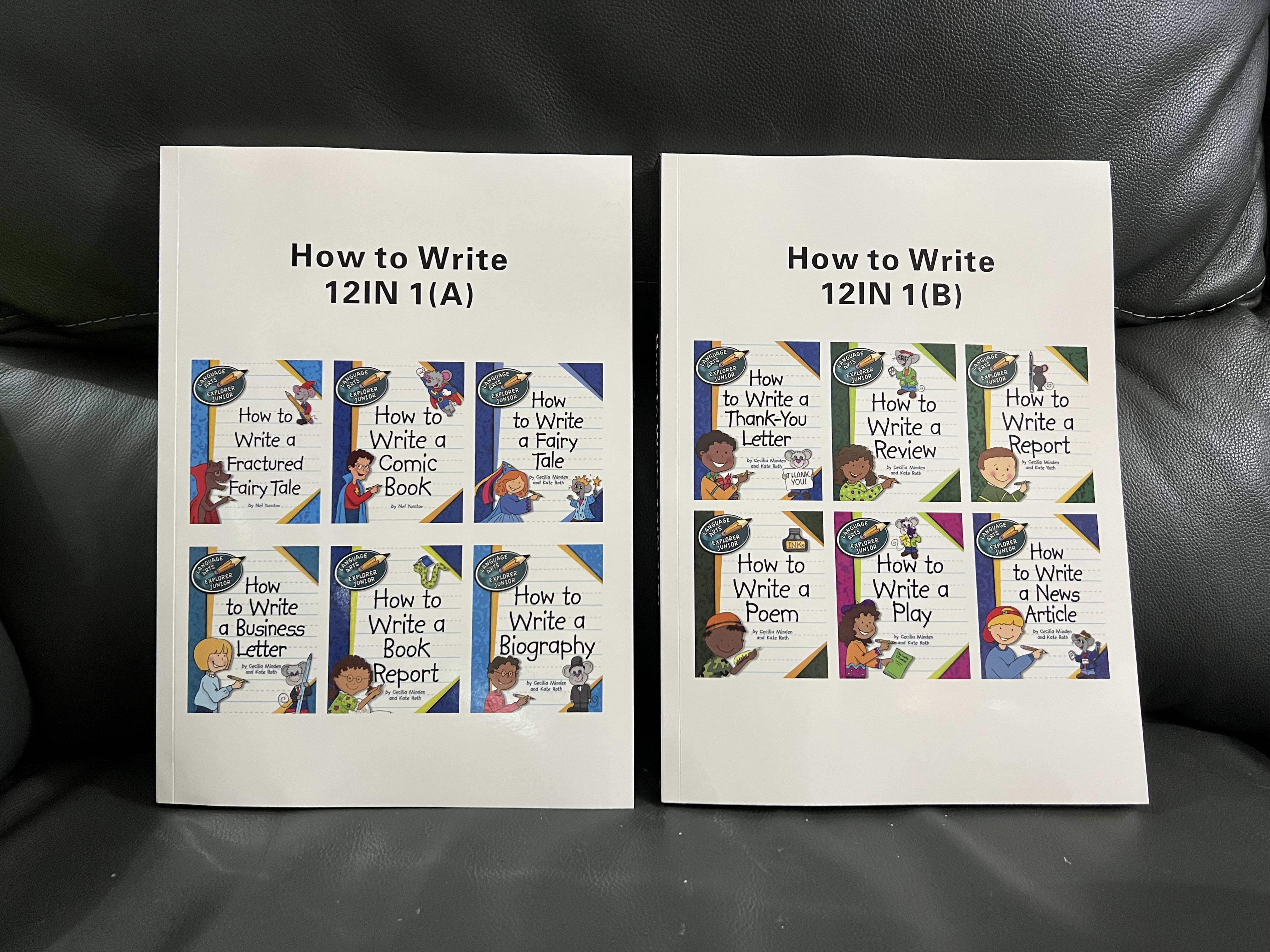 《How to Write》24冊 寫作格式的方式小學中學都可用到, 興趣及遊戲, 書本 & 文具, 小朋友書 - Carousell