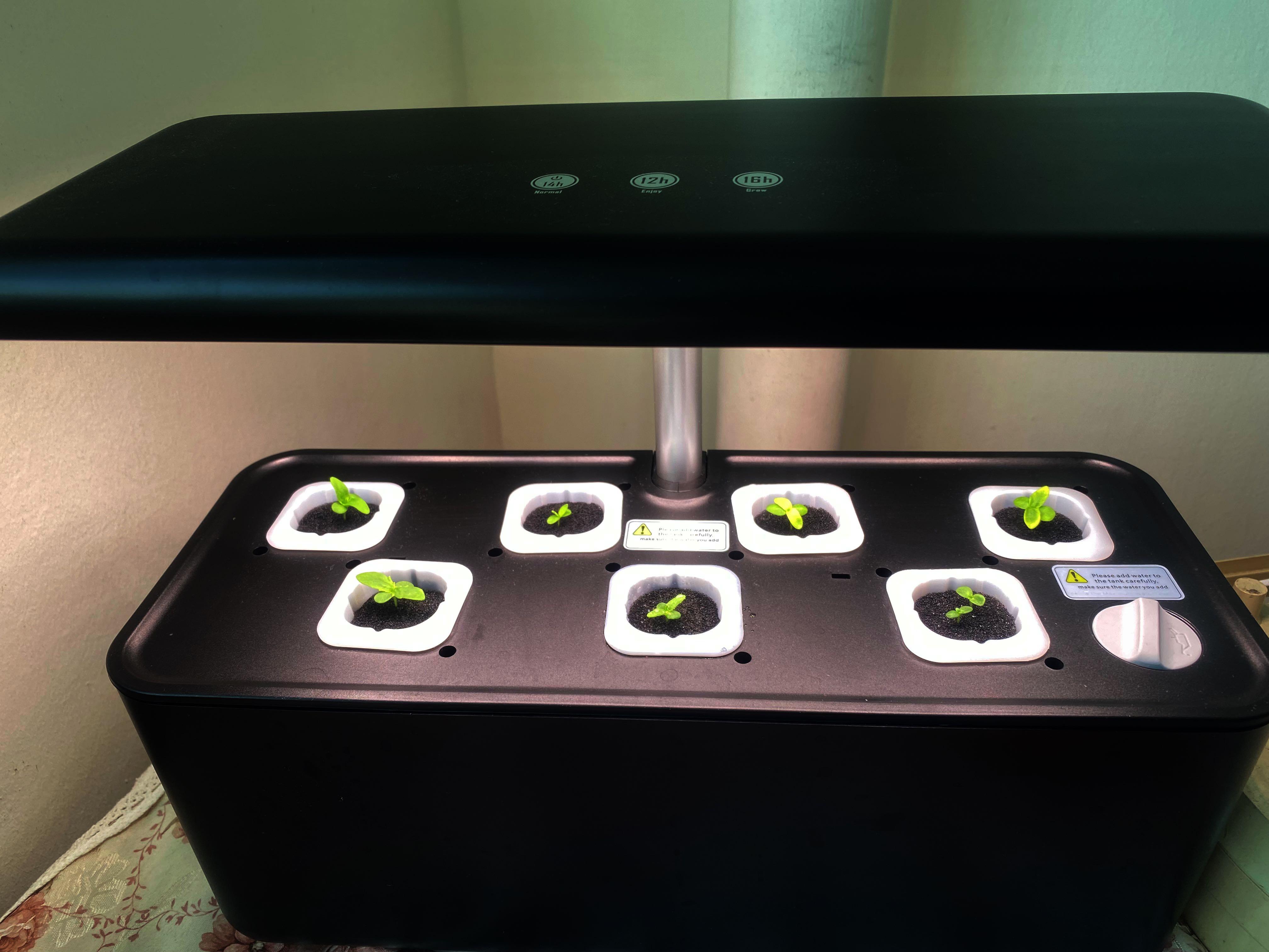 Hydroponic System, Furniture & Home Living, Gardening, Pots & Planters ...