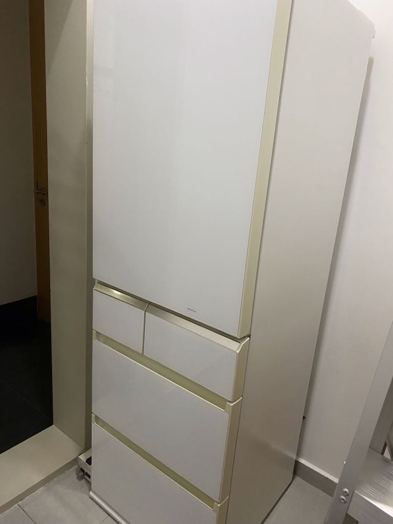 Japanese Panasonic refrigerator (automatic ice cube maker) - working ...