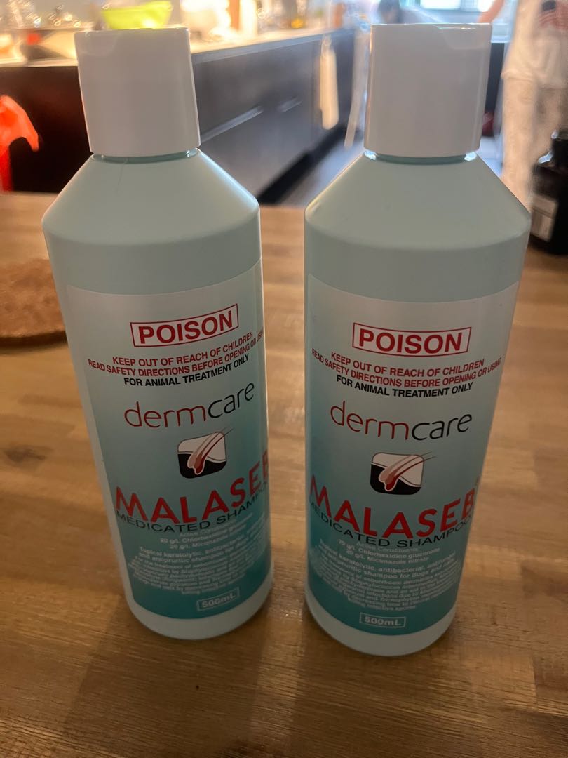 Malaseb Medicated Shampoo, Pet Supplies, Homes & Other Pet Accessories ...