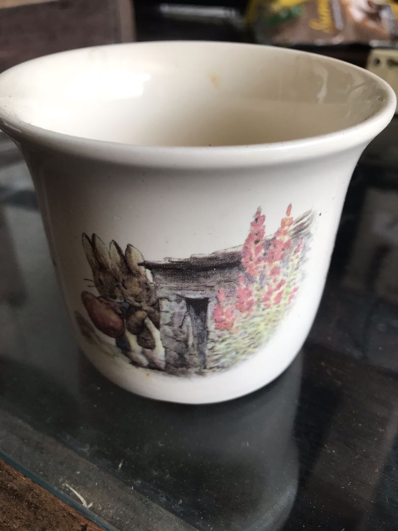 Peter Rabbit Pot, Furniture & Home Living, Gardening, Pots & Planters ...