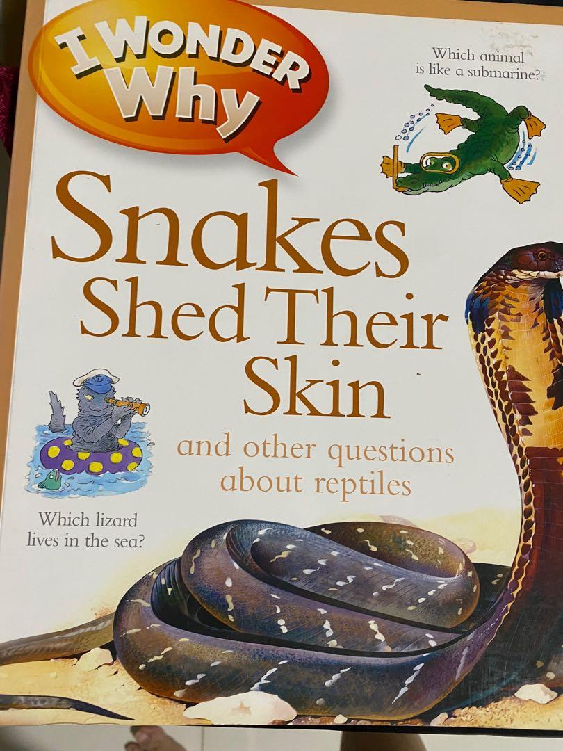 Why books, Hobbies & Toys, Books & Magazines, Children's Books on Carousell