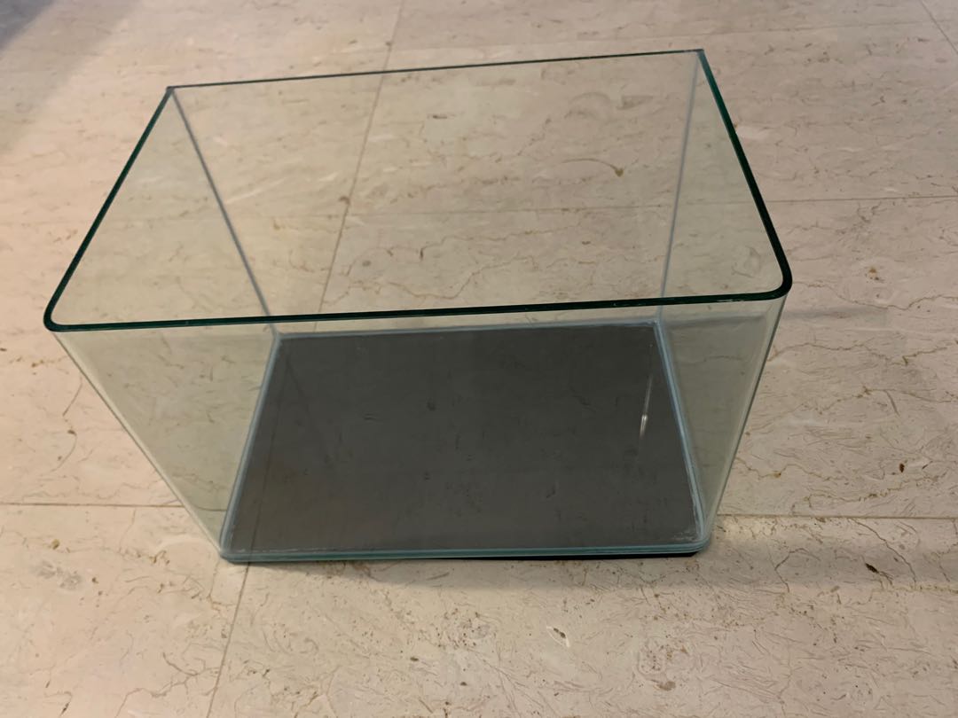 Glass fish tank 12L with external filter, Pet Supplies, Homes & Other ...
