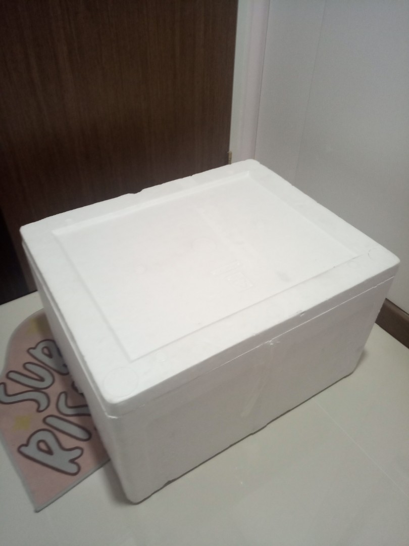 Large styrofoam box, Furniture & Home Living, Kitchenware & Tableware ...