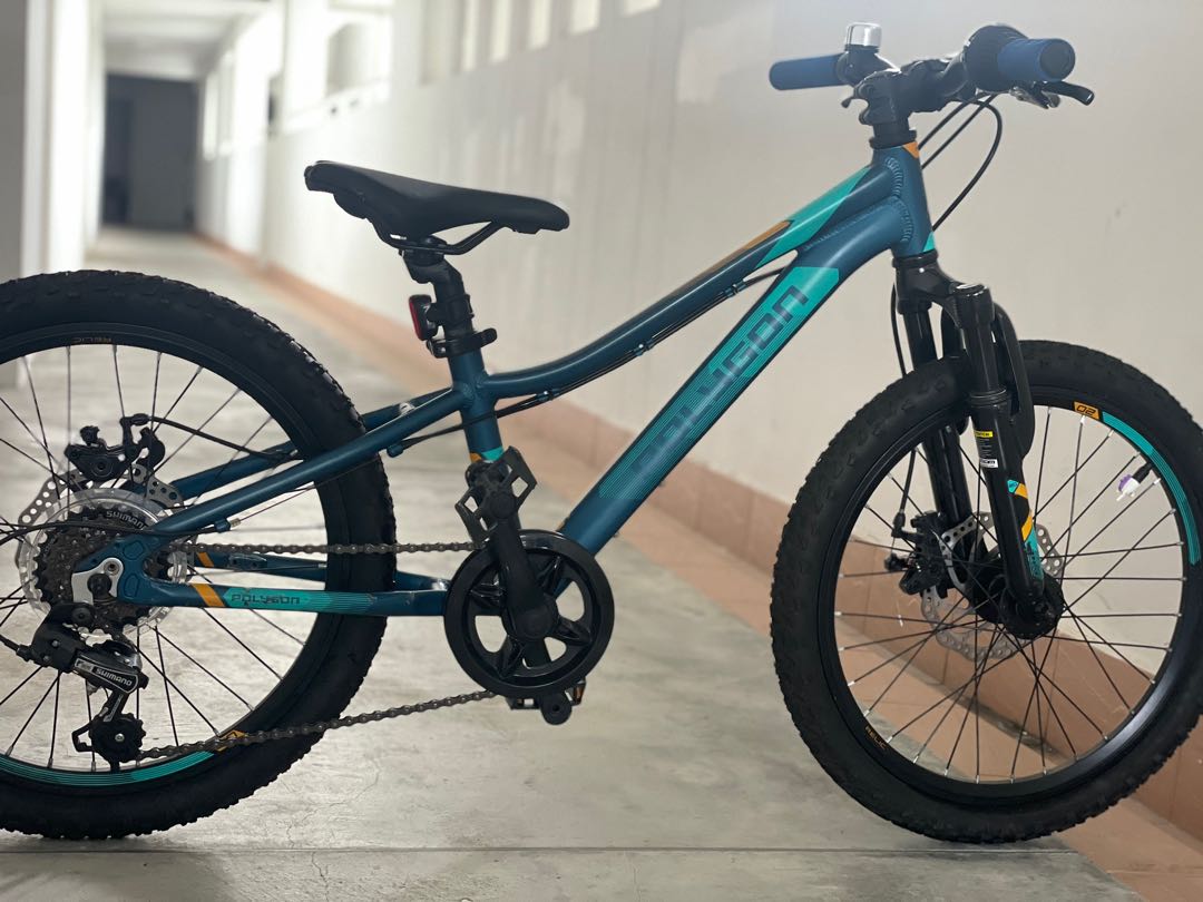 Polygon Relic 20 kids Mountain Bike, Sports Equipment, Bicycles & Parts ...