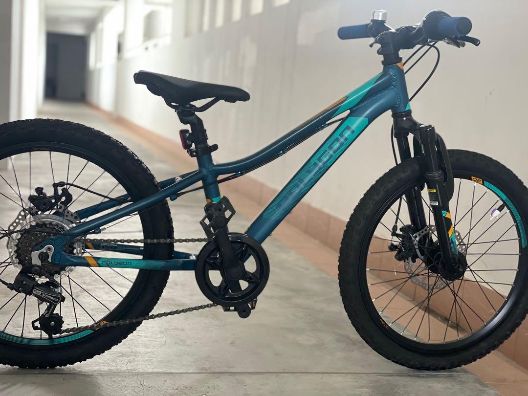 Polygon Relic 20 kids Mountain Bike, Sports Equipment, Bicycles & Parts ...