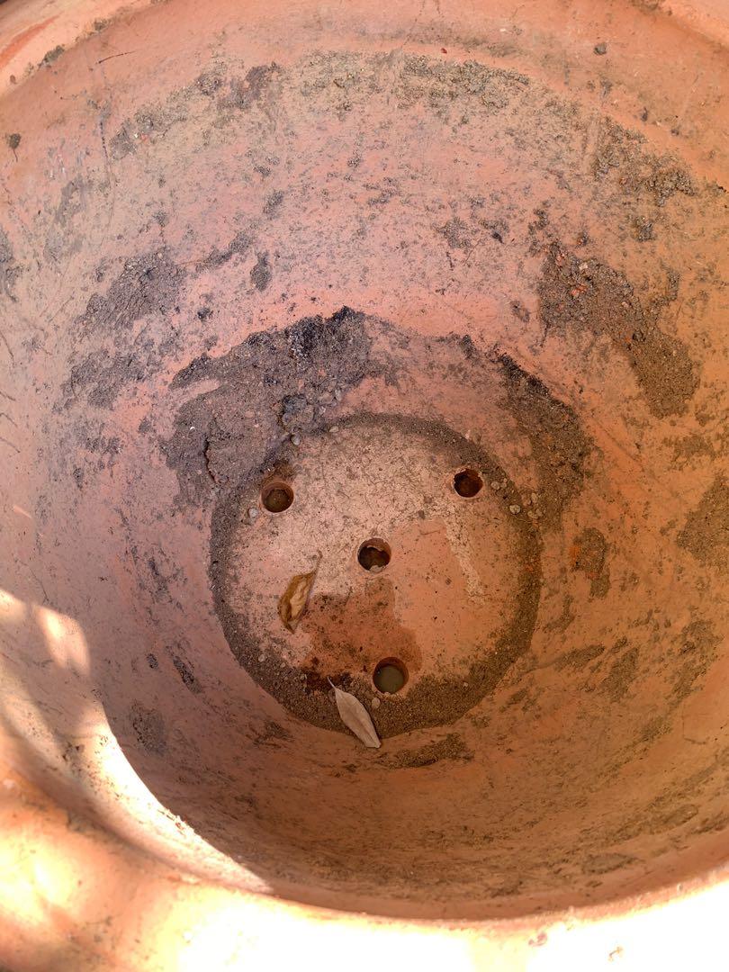 Big Clay Pot, Furniture & Home Living, Gardening, Pots & Planters on ...