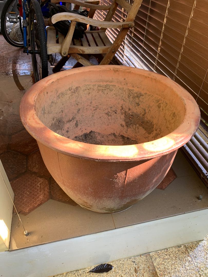 Big Clay Pot, Furniture & Home Living, Gardening, Pots & Planters on ...