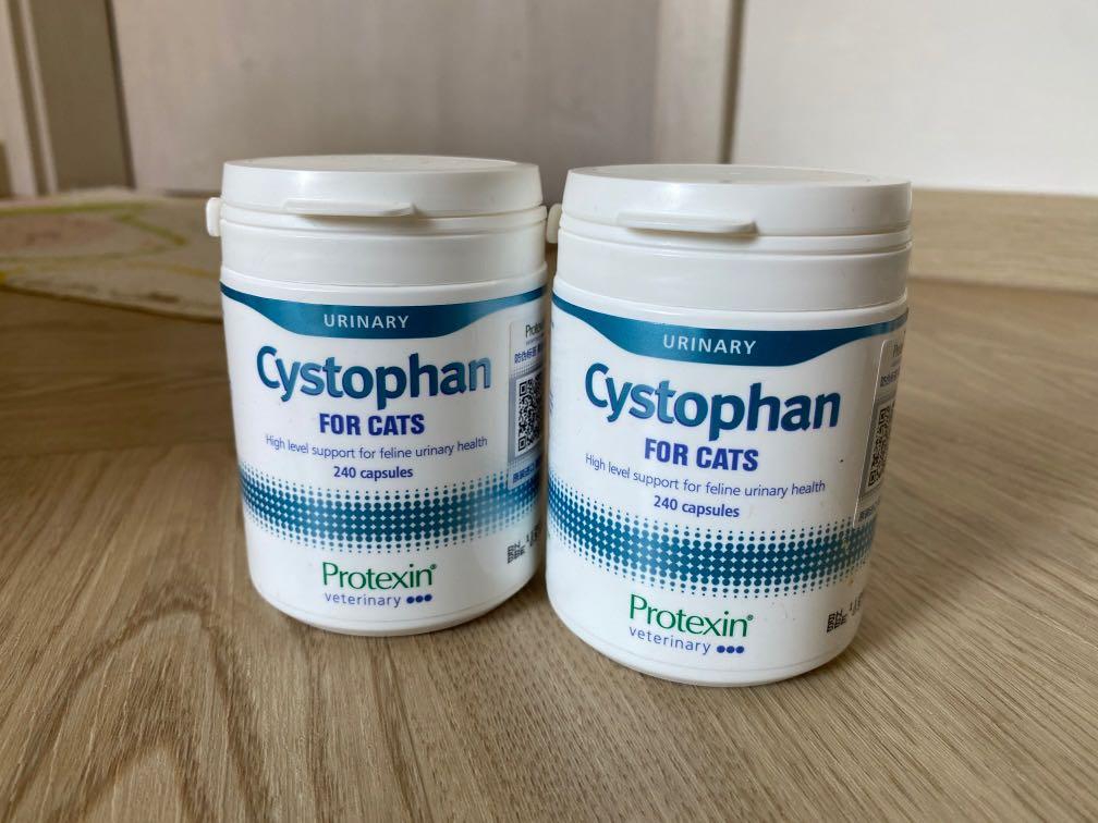 Cystophan for cats. 240 capsules.For urinary health., Pet Supplies, Pet ...