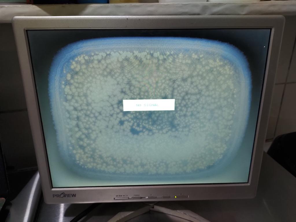 Defective LG and Proview monitors, Computers & Tech, Parts ...