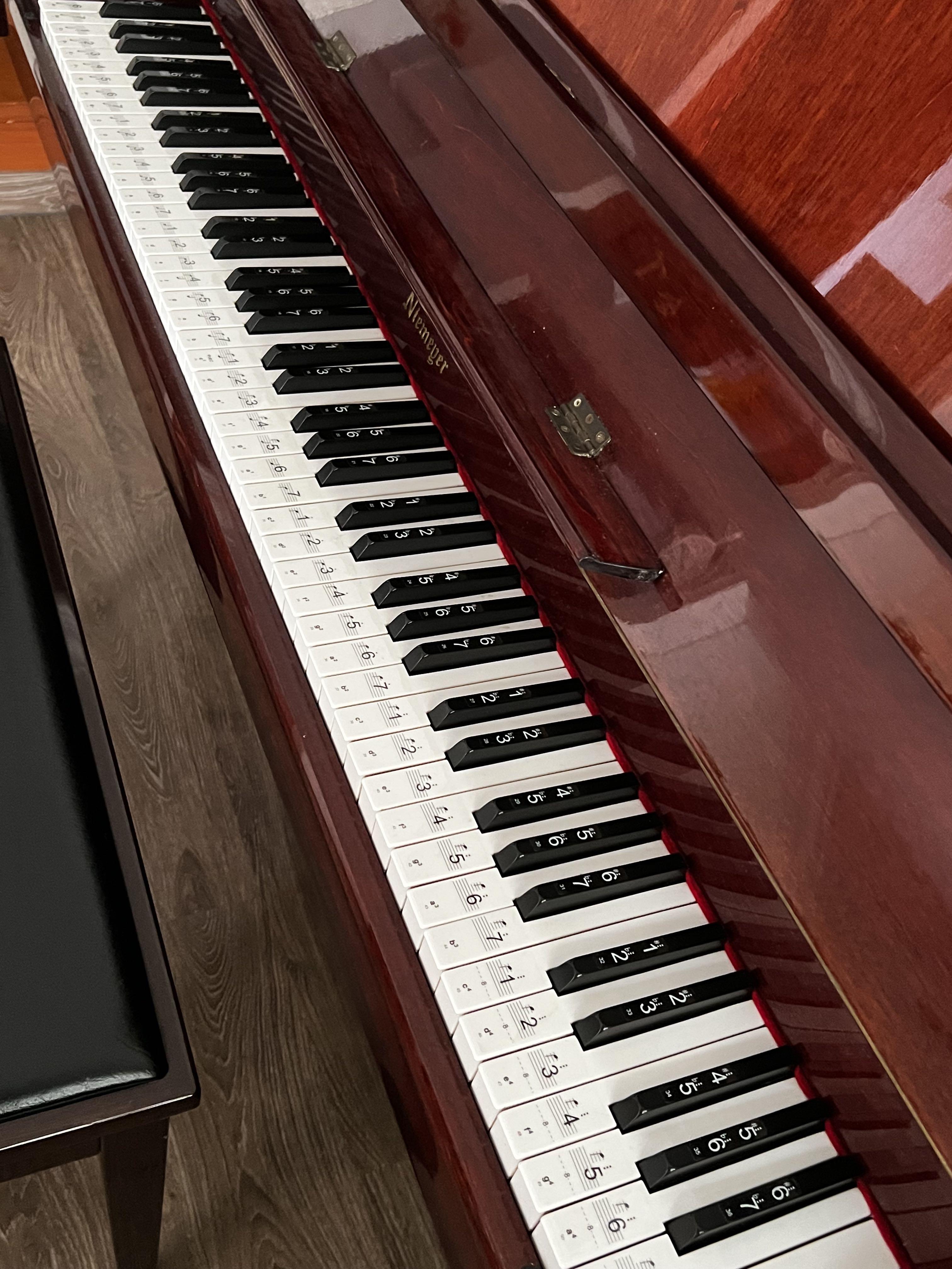 Niemeyer stand Panio, Hobbies & Toys, Music & Media, Musical ...