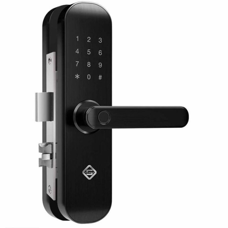 PINEWORLD Touchscreen Fingerprint Door Lock, E202 Electronic Keyless ...