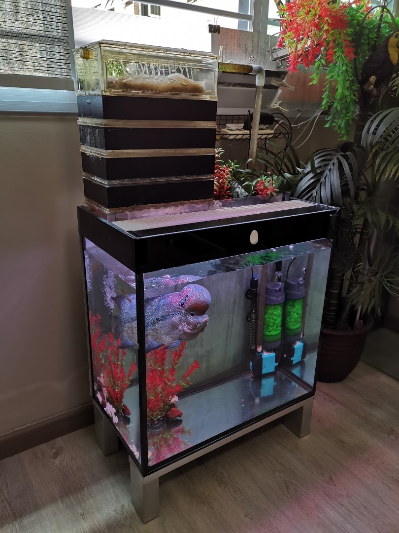 2 ft by 2ft depth by 14 inch, Pet Supplies, Homes & Other Pet ...