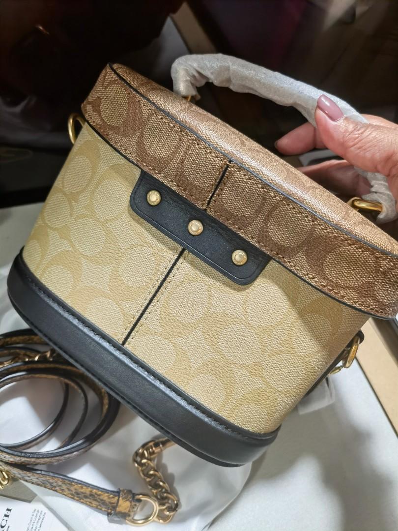 COACH Vanity bag, Luxury, Bags & Wallets on Carousell
