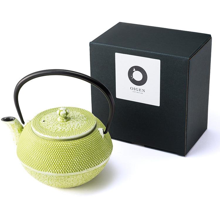 Nambu Tekki Teapot (Nambu ironware), Furniture & Home Living ...