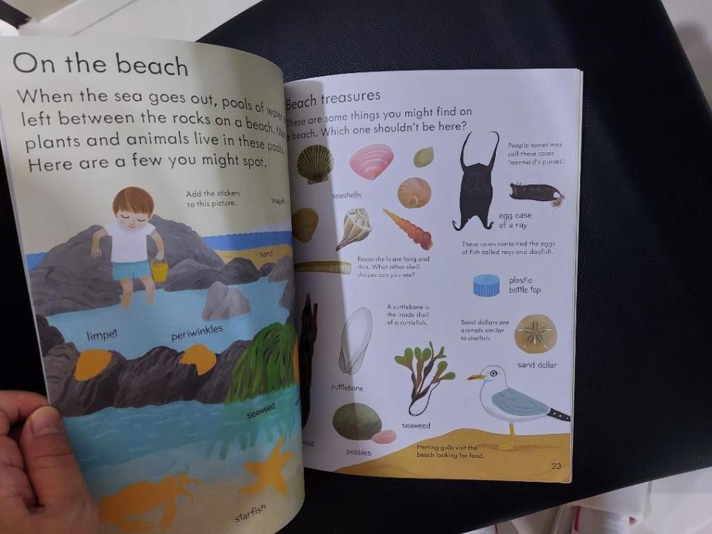 Usborne sticker book Nature Fairground, Hobbies & Toys, Books ...