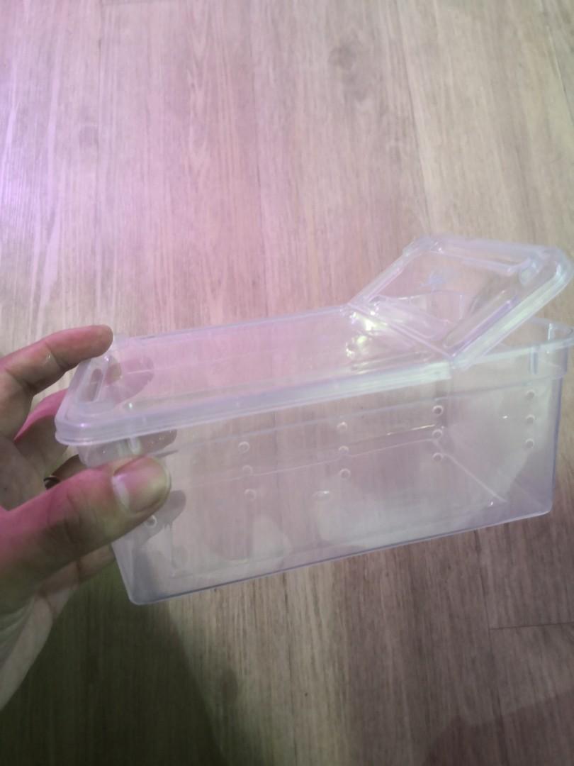 Ventilated plastic boxes with lid, Furniture & Home Living, Gardening ...