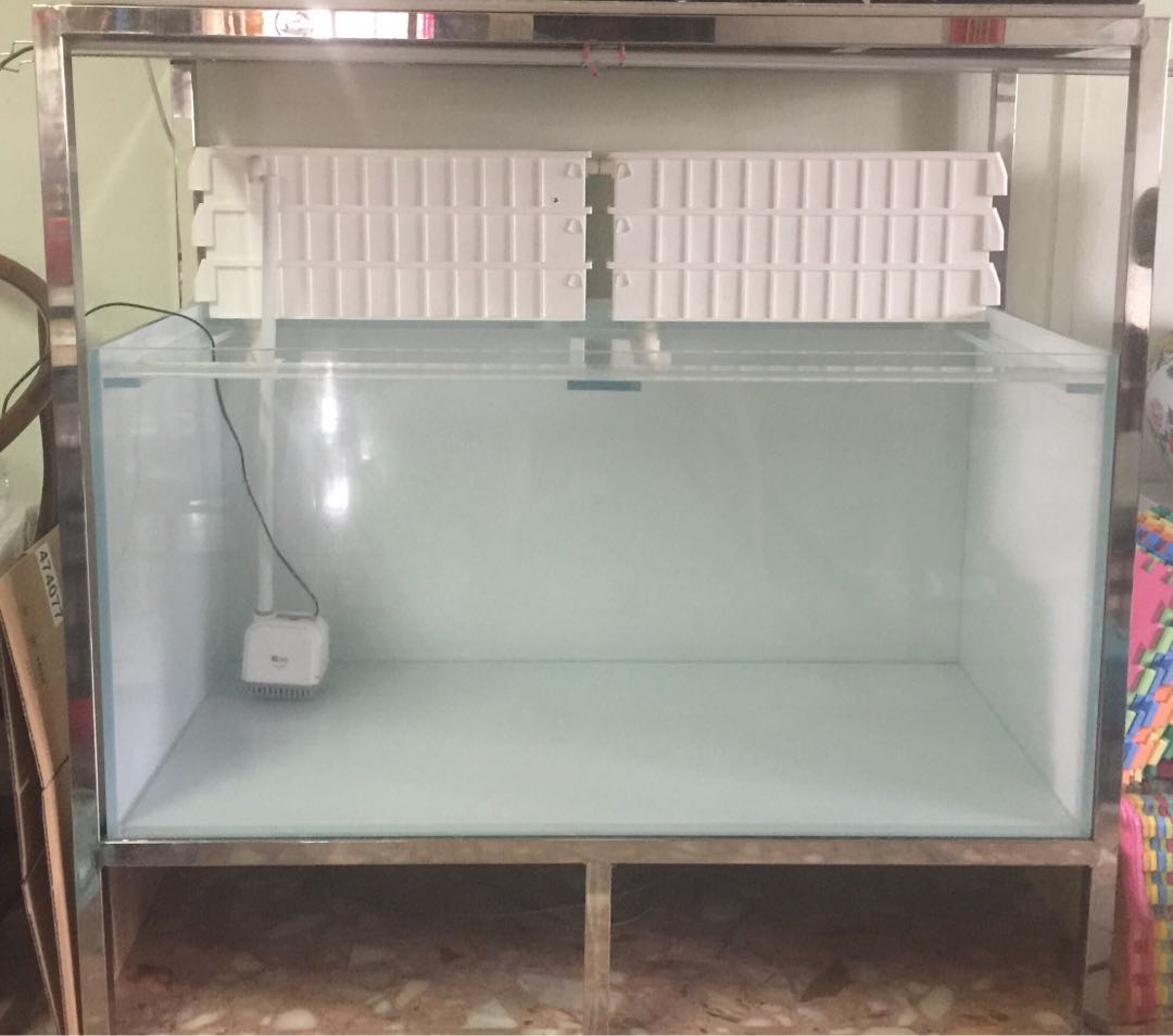 4ft x 2ft x 2ft Fish Tank with Stainless Steel Stand, Pet Supplies ...