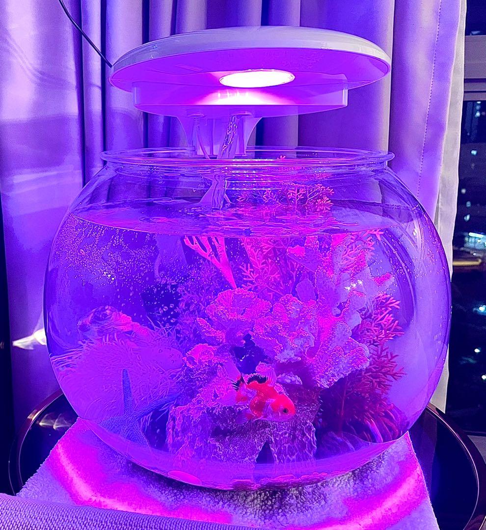 Led light unbreakable fish tank German technology, Everything Else on ...