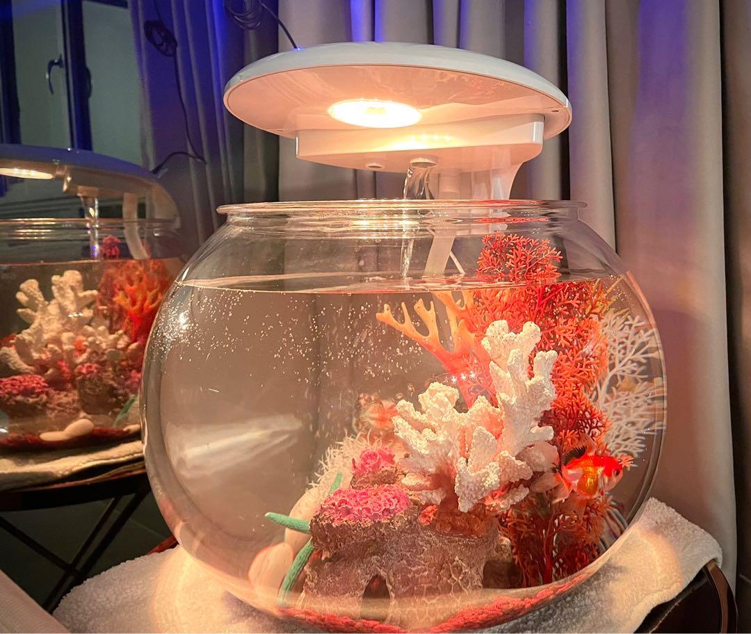 Led light unbreakable fish tank German technology, Everything Else on ...