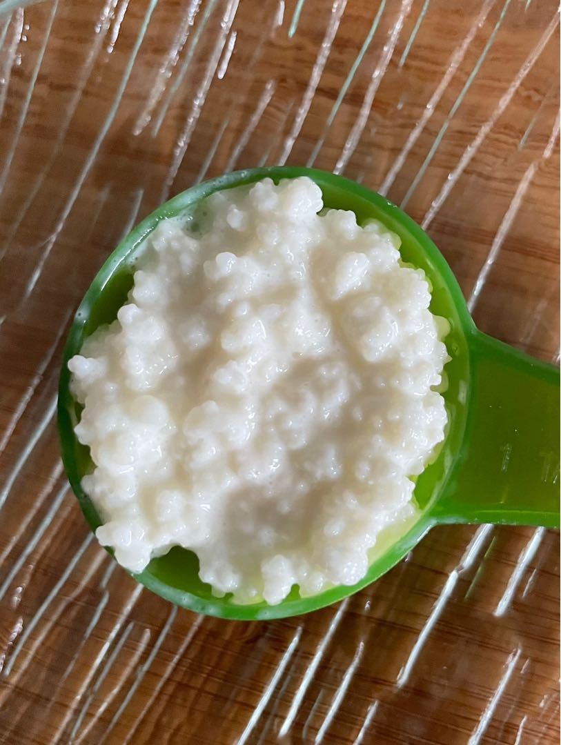 Live Milk Kefir, Food & Drinks, Beverages on Carousell