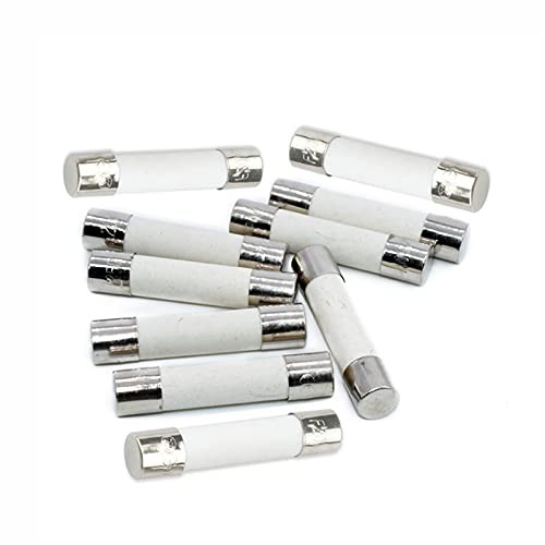 LuoQiuFa 9pcs F8A 250V 6x30mm 8Amp Ceramic Fuses, Everything Else on ...