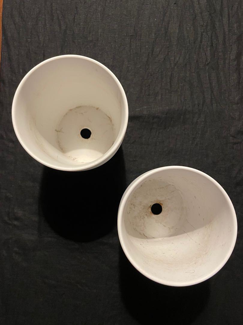 Muji White Porcelain Pots, Furniture & Home Living, Gardening, Pots ...