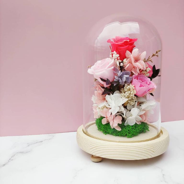 Japan preserved reserved flower glass dome with LED lights, Hobbies ...