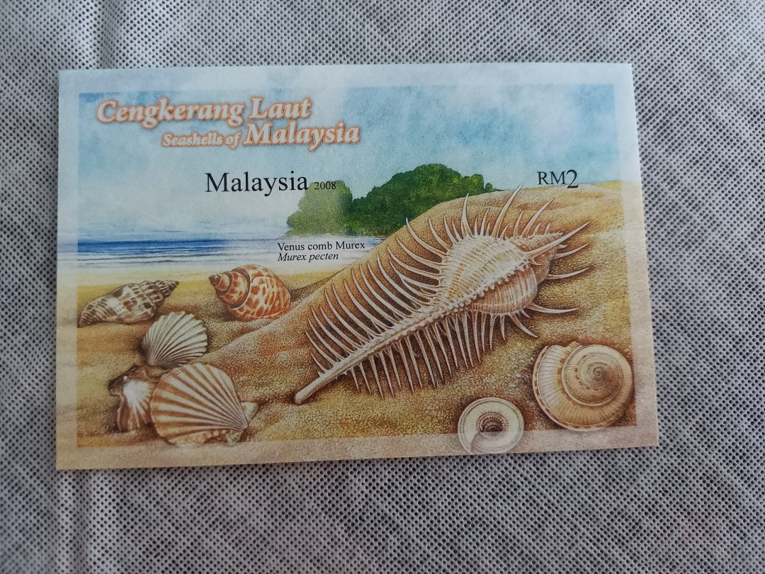 Setem mini cengkerang laut malaysia, Hobbies & Toys, Collectibles ...