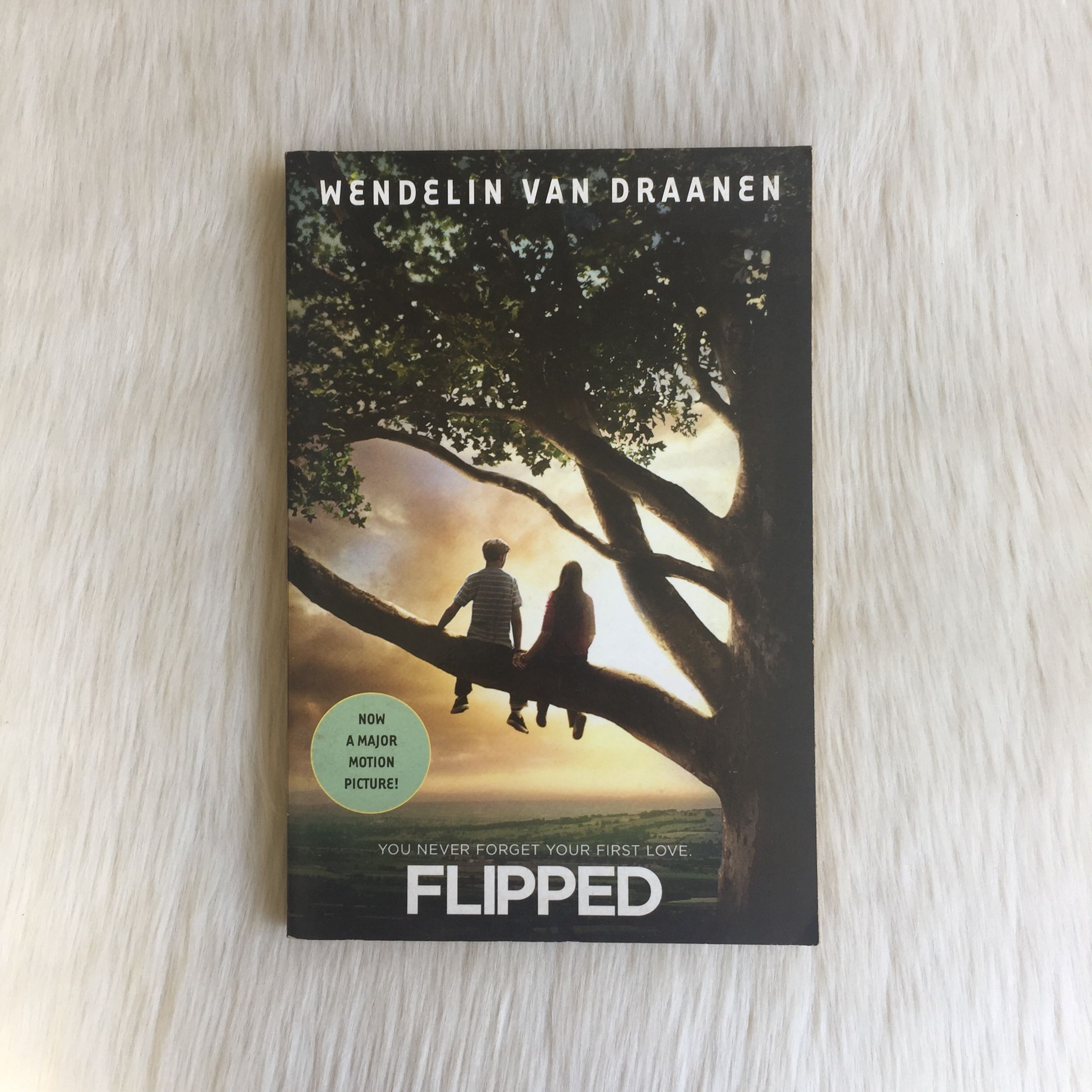 [TP] Flipped by Wendelin Van Draanen, Hobbies & Toys, Books & Magazines ...