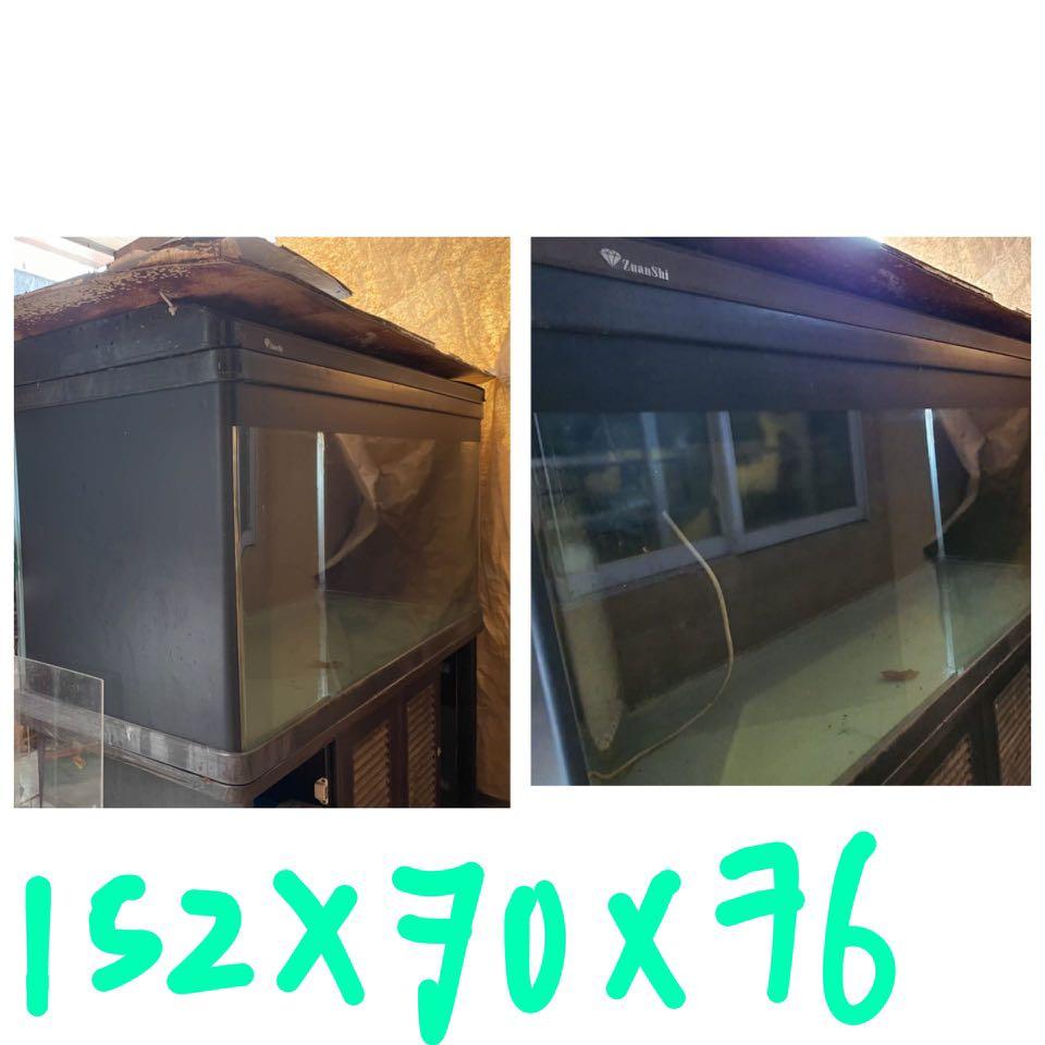 5 feet fish tank, Pet Supplies, Homes & Other Pet Accessories on Carousell
