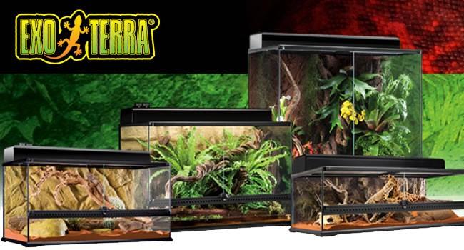 Exo Terra Terrarium Tank Large X-Tall 90x45x90cm, Pet Supplies, Homes ...