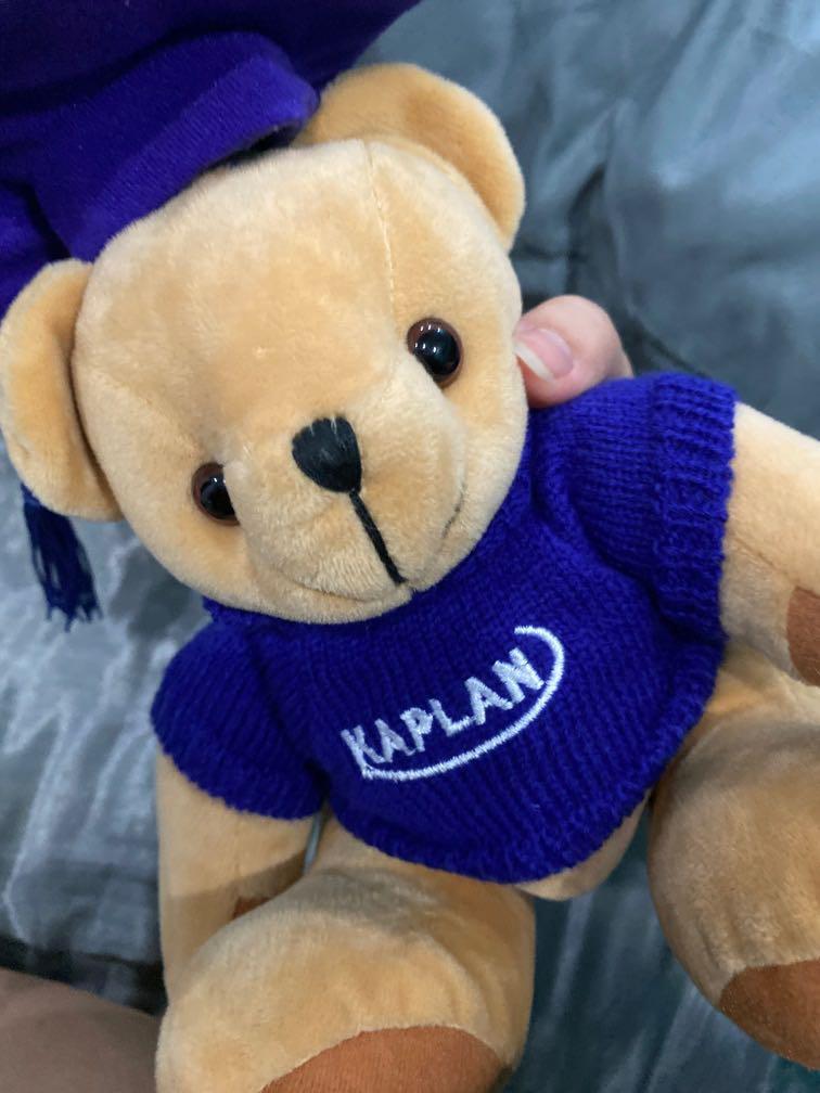 Kaplan Teddy Bear / graduation bear, Hobbies & Toys, Toys & Games on ...