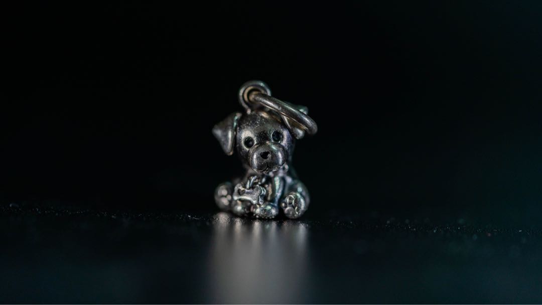 PANDORA LABRADOR PUPPY DOG DANGLE CHARM, Women's Fashion, Jewelry ...