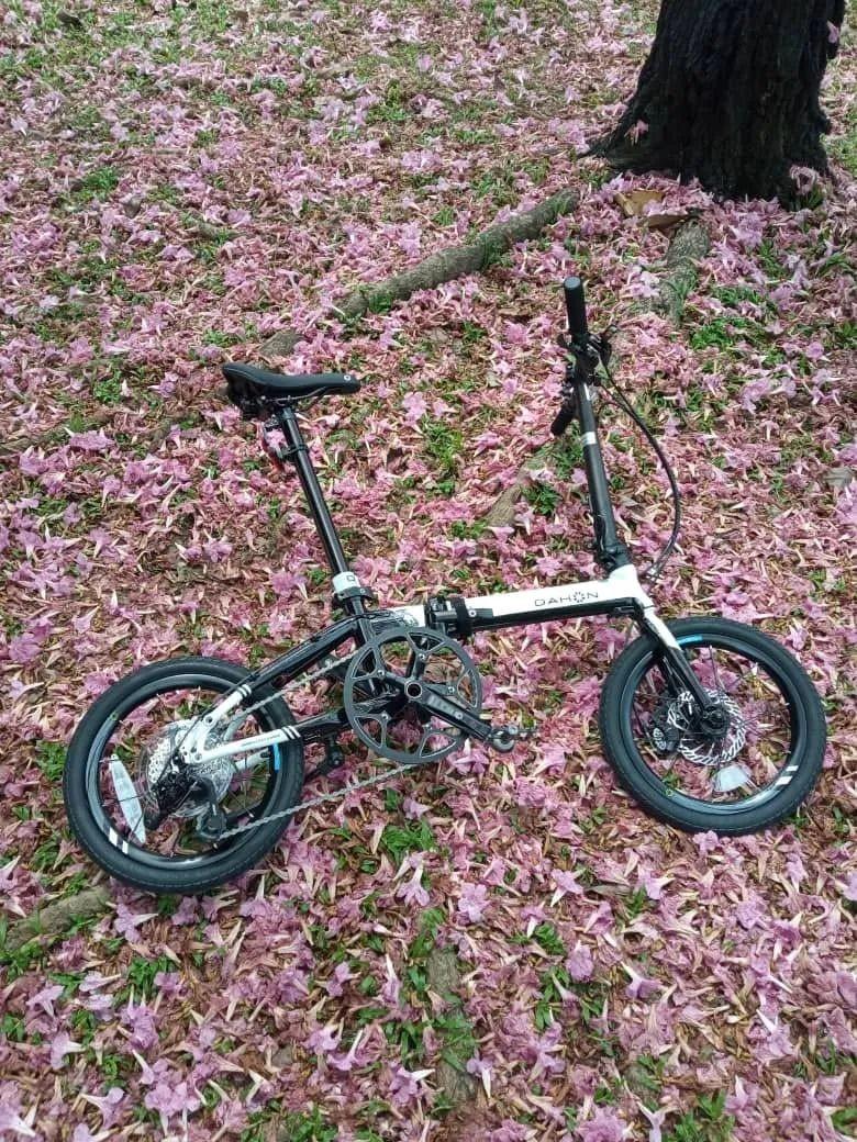 Super sales: Dahon K3 Plus International model (3 colors available ...