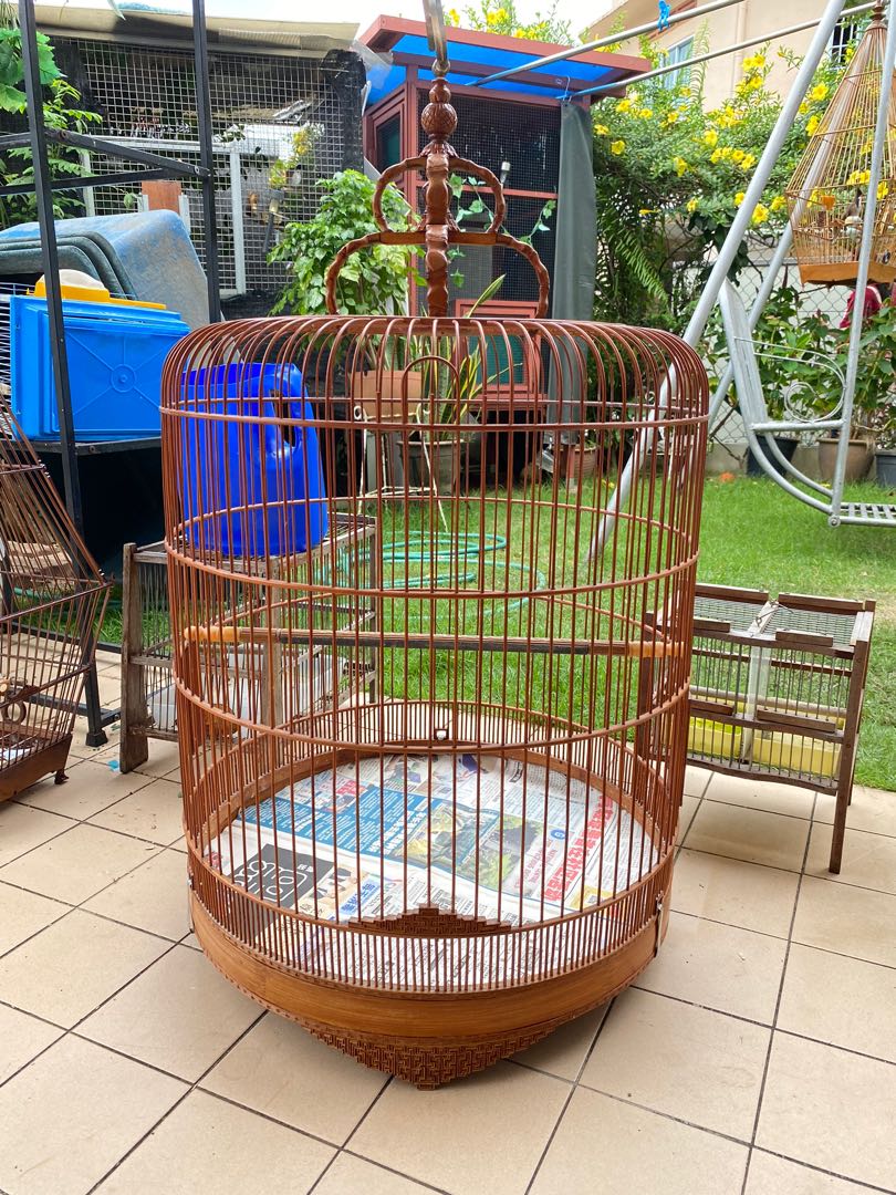 Bird Cage Shama 21 in fine banji, Pet Supplies, Homes & Other Pet ...