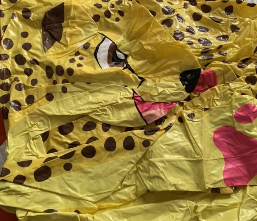 Inflatable Cheetah, Hobbies & Toys, Toys & Games on Carousell