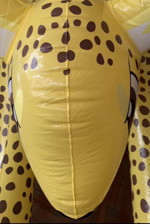 Inflatable Cheetah, Hobbies & Toys, Toys & Games on Carousell