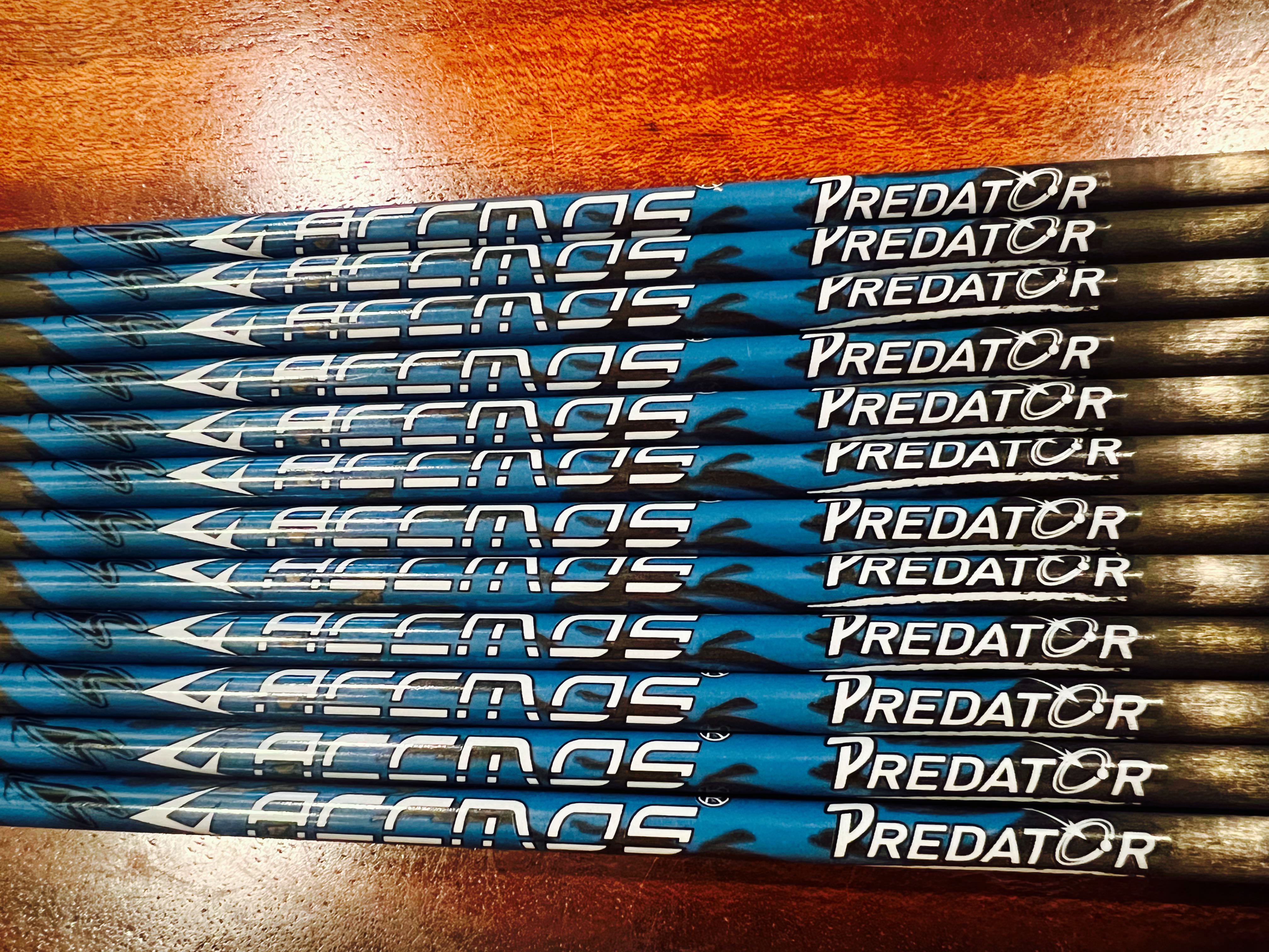 ACCMOS Predator Arrows 700 Spine, Sports Equipment, Other Sports ...