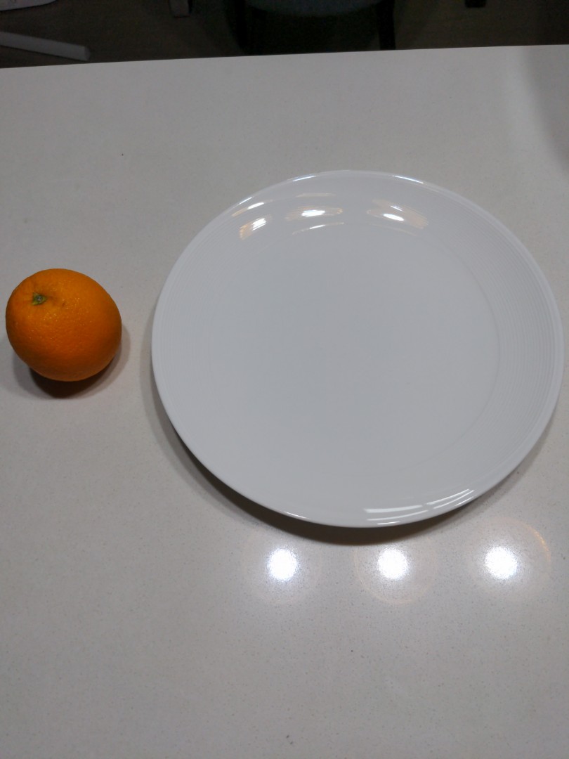 Big plates, Furniture & Home Living, Kitchenware & Tableware ...